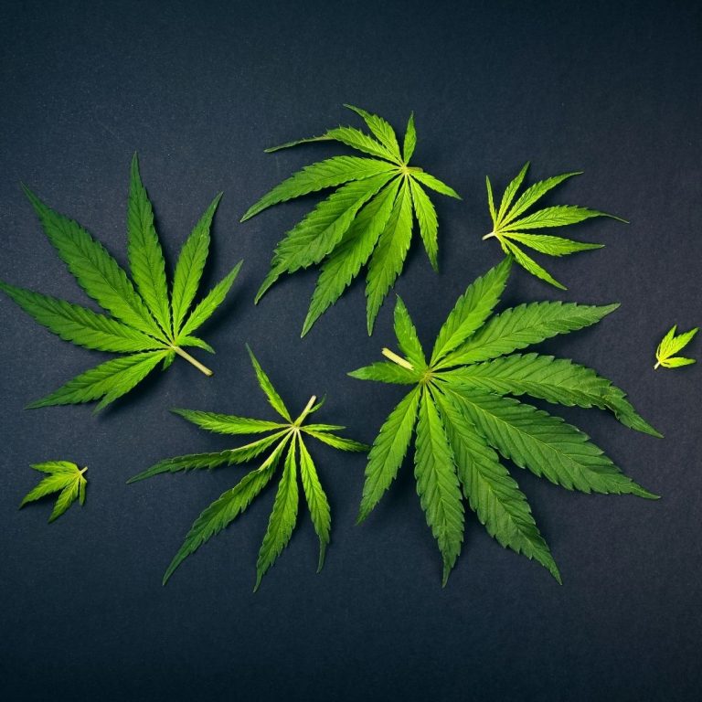 What is hemp? | Nature's Arc Organics