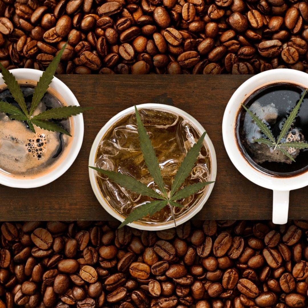 CBD Coffee | Nature's Arc Organics