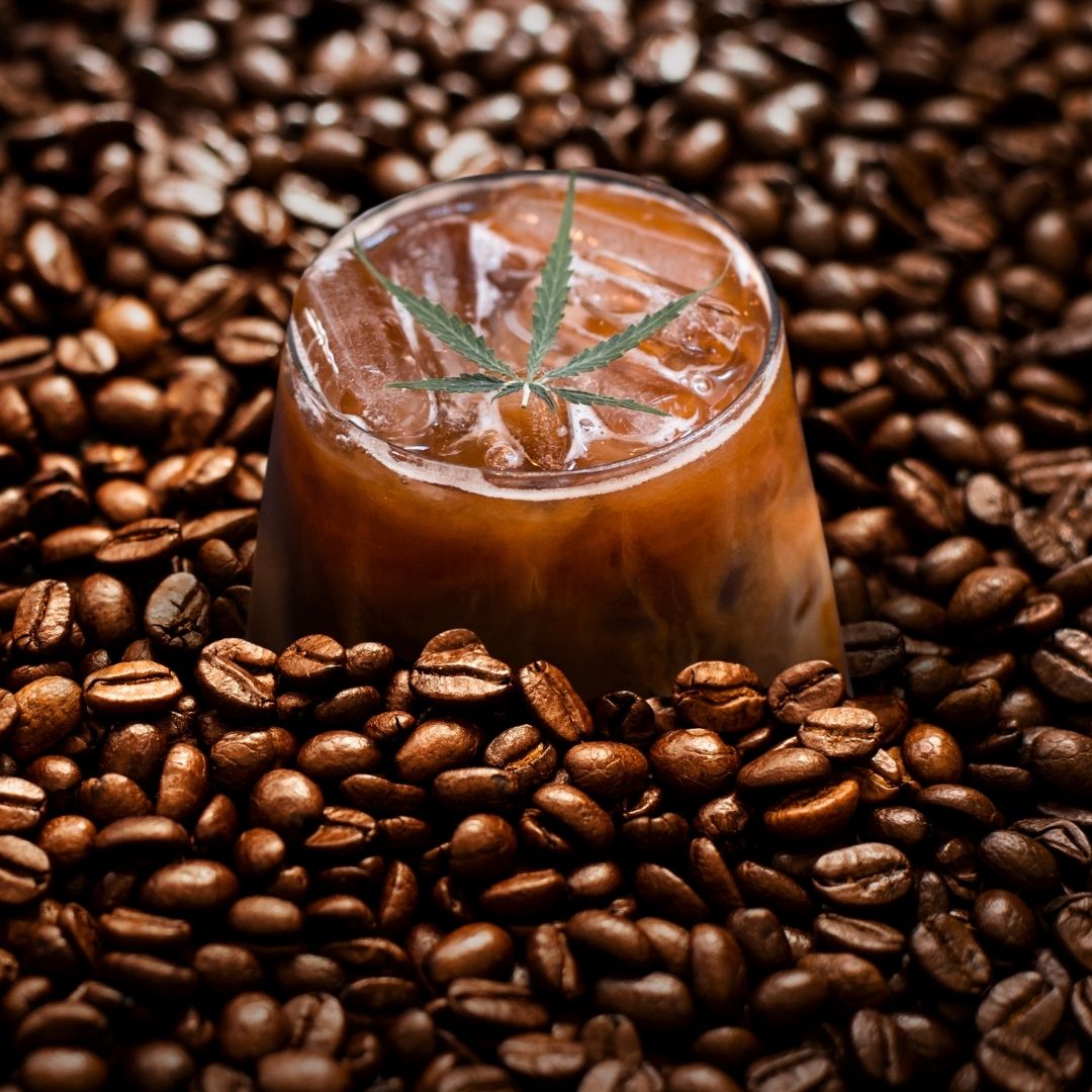 CBD Coffee | Nature's Arc Organics