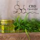 What does CBD Do To The Brain? | Nature's Arc Organics
